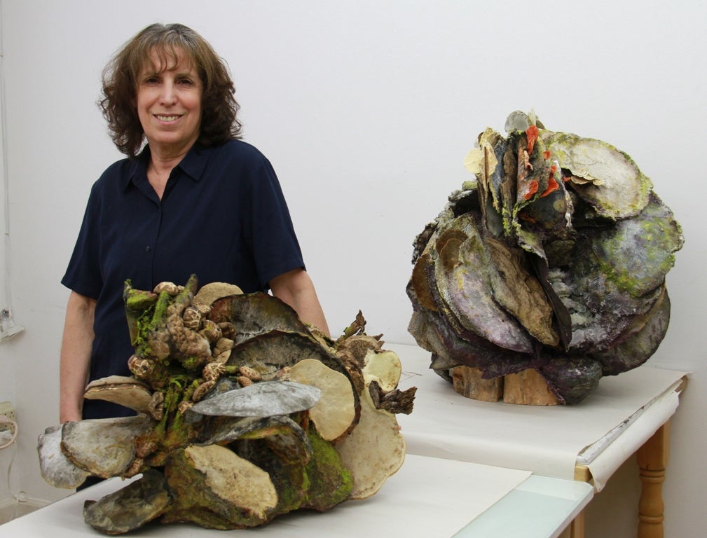 Susan Rostow - Speedball Art