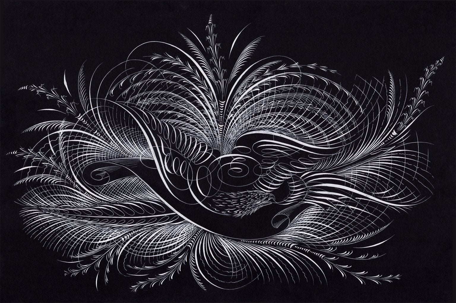 Jake Weidmann - Speedball Art