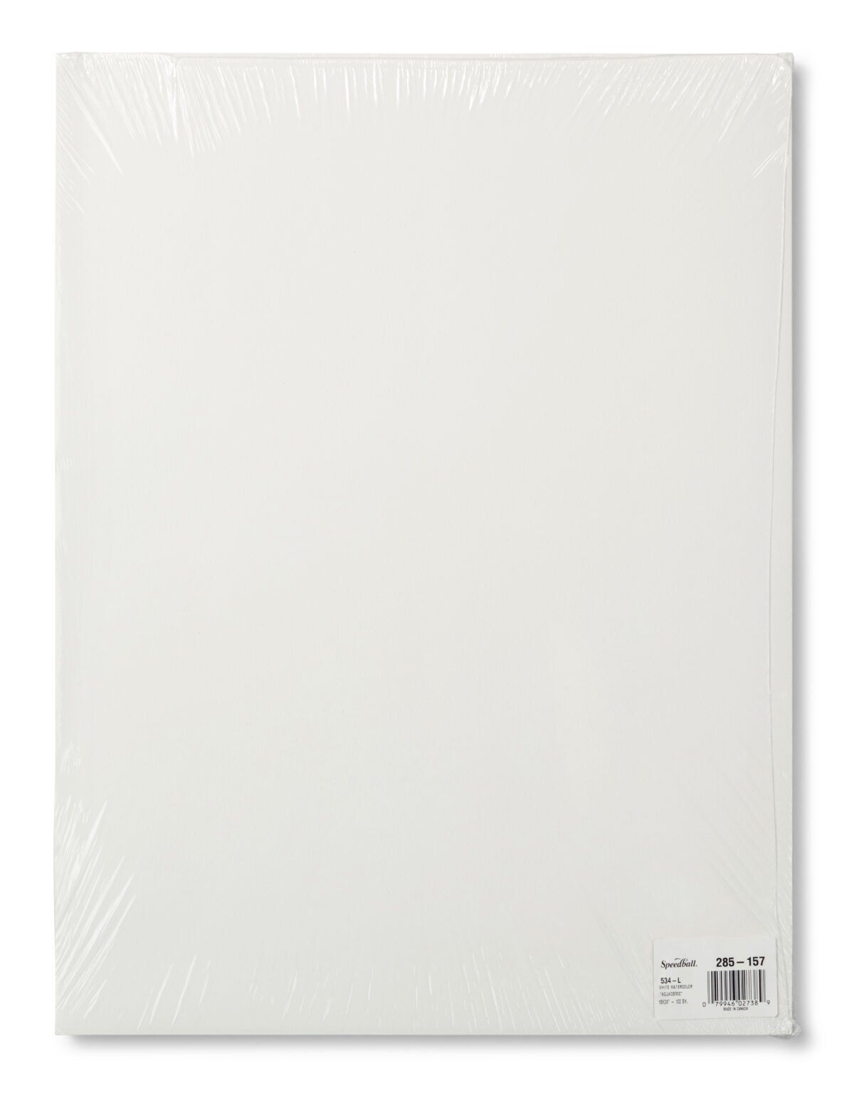 Bienfang Fine Art Paper - Speedball Art