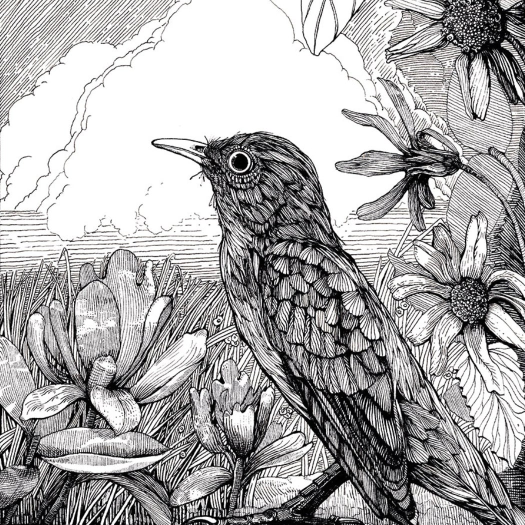 Chloe Gendron - Speedball Art